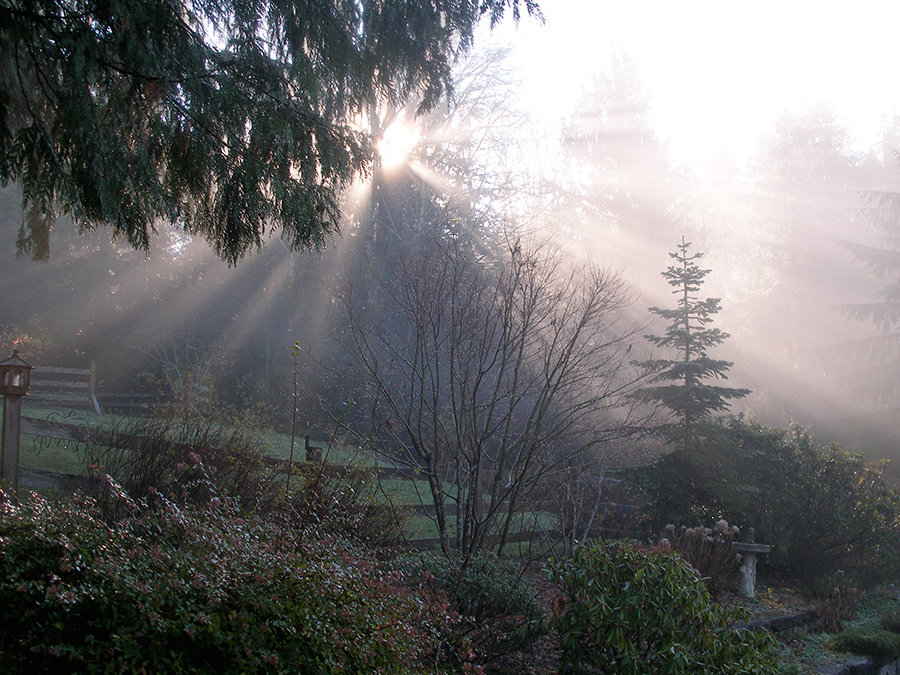 Laura Rink – Writer