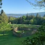 Work, Wonder, and Windows – Laura Rink